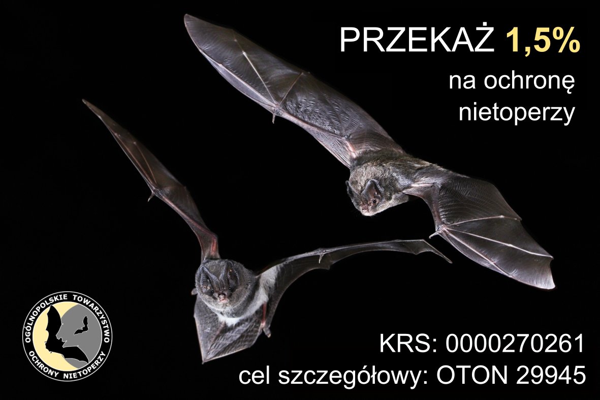 nietoperze.pl – Ogólnopolskie Towarzystwo Ochrony Nietoperzy